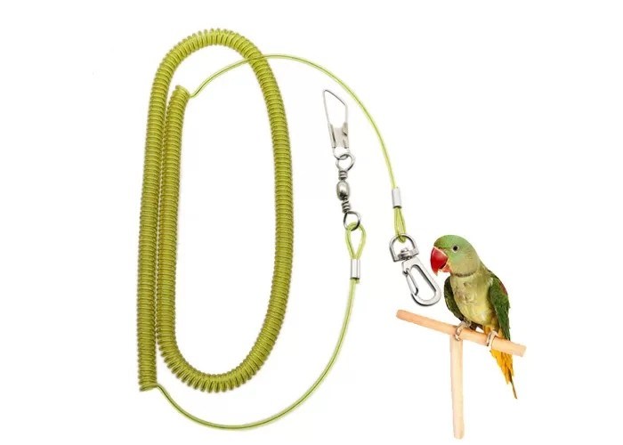 5 Meter Stretchable Parrot Flying Rope